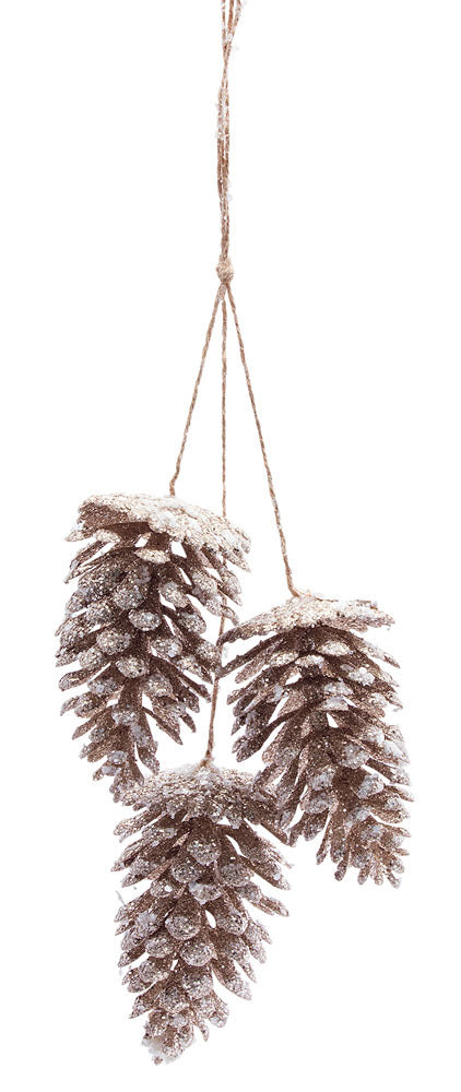 Frosted Pinecone Drop Orname – The Little Big Plant Co