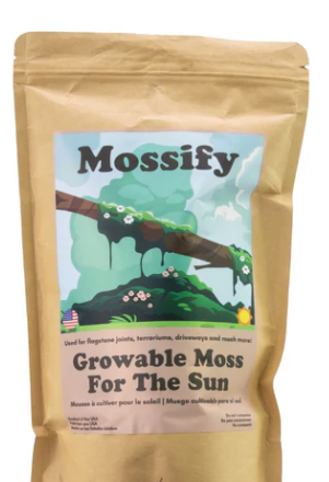 Growable Moss – The Little Big Plant Co