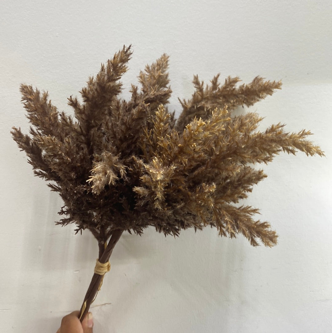 Erica Flocked – The Little Big Plant Co