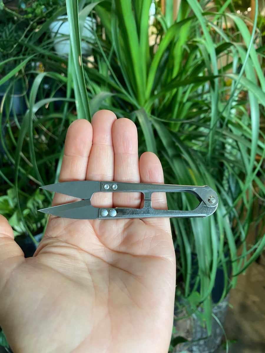Mini Pruners – The Little Big Plant Co