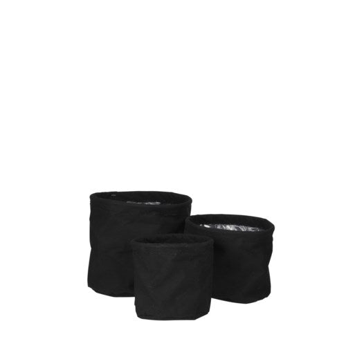 Flexi pot – The Little Big Plant Co