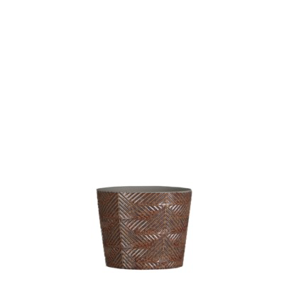 Dustin Pot Brown – The Little Big Plant Co