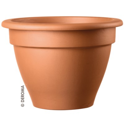 Terracotta bell pot – The Little Big Plant Co