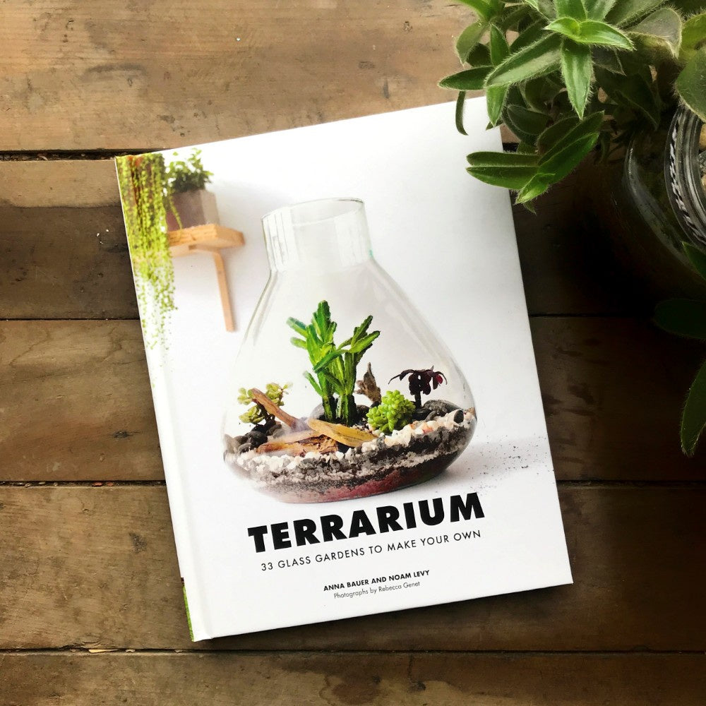 Terrarium Book – The Little Big Plant Co